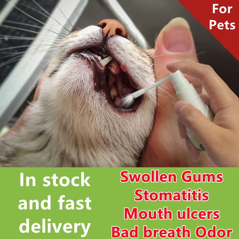 Cat Stomatitis Spray 30ml Dogs Drooling Swollen gums Stomatitis Oral ...