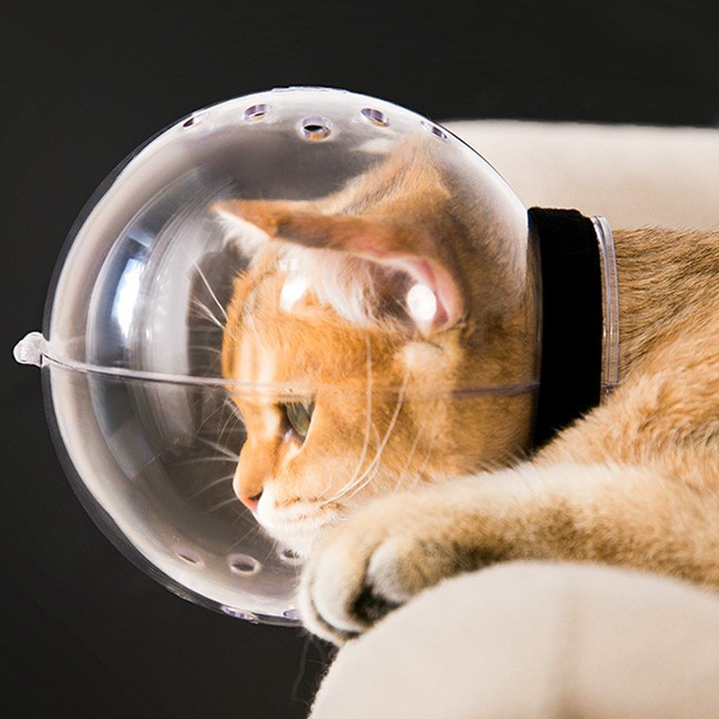 Cat Headgear Anti-Lick Anti-Bite Fighting Ball-Shaped Collar Anti ...