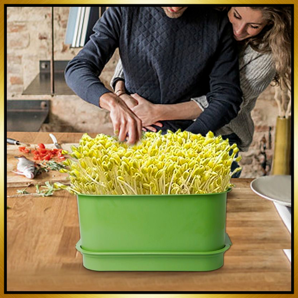 GUANHUA Bean Sprouter Growing Bucket Soybean Mung Bean Sprouts Maker ...