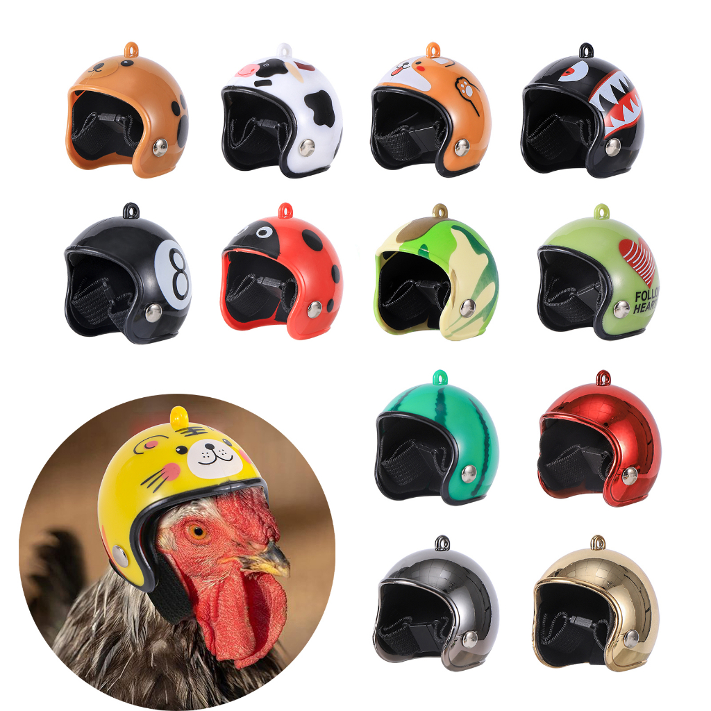 1 Pc Chicken Helmet Safety Hat Pet Bird Duck Quail Helmet Protection ...