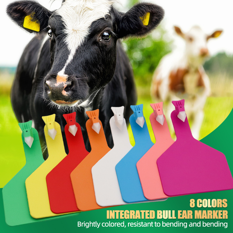 50/100 Pcs Cow Ear Tags11x7.5cm Eight Different Colors Blank Ear Tags ...