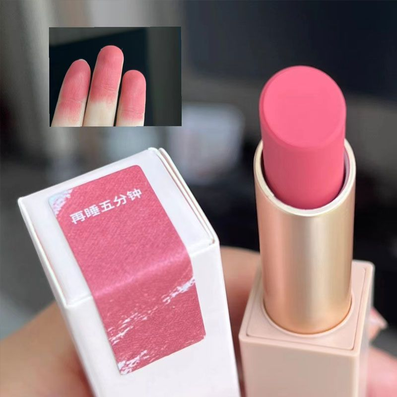 Matte Lipstick Waterproof Long Lasting Lip Stick Sexy Red Pink Velvet ...
