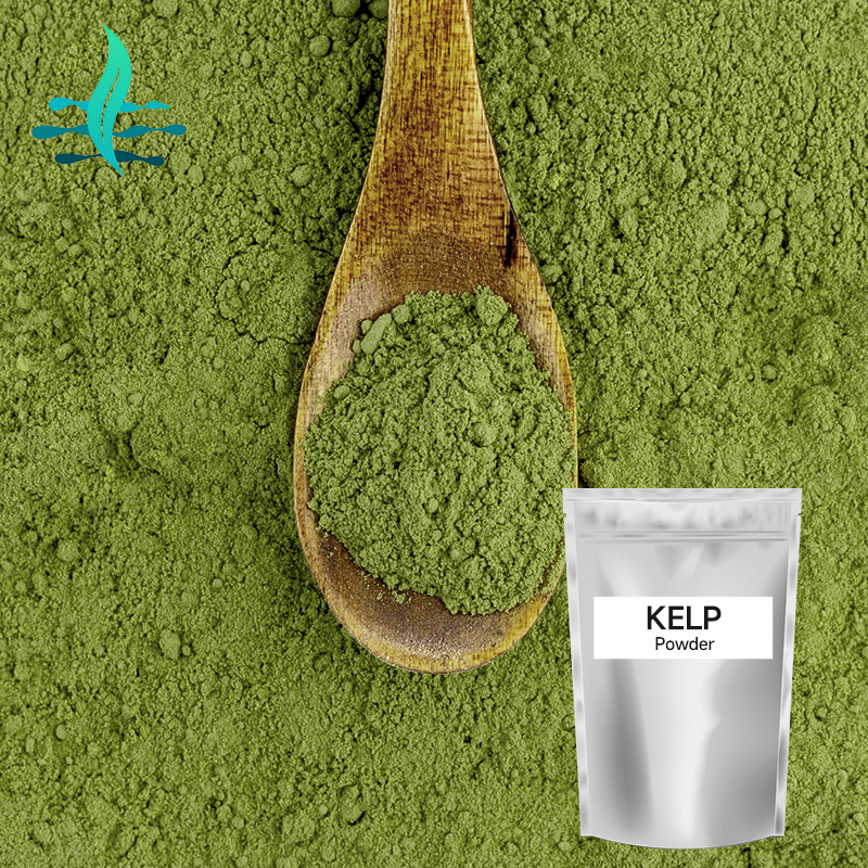 High Quality Food Grade Kelp Seaweed Powder Dehydrated Vegetable Kelp ...