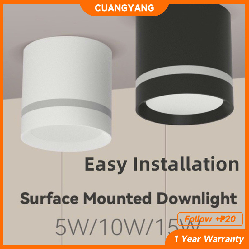 CHUANGYANG Surface Mounted Downlight Ceiling Light Cob Spotlight Pin ...