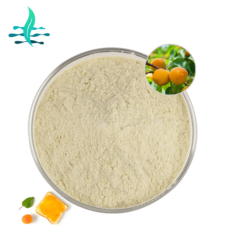 Apricot Fruit Powder 100% Food Grade bakery / pastries / baby food ...