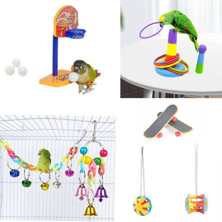 Parrots Toy Bell String Climbing Suspension Bridge Skateboard Three ...