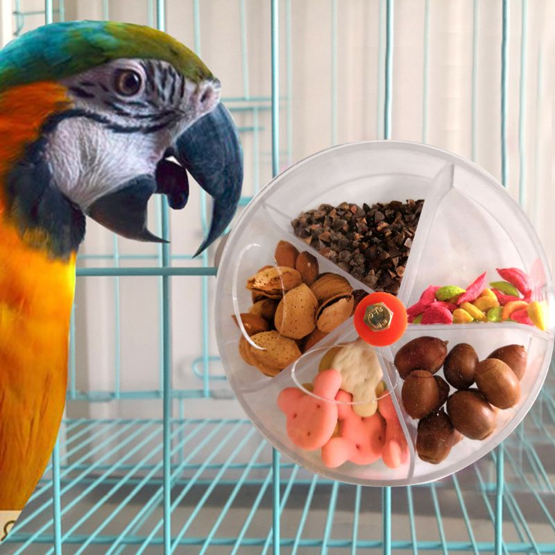 Parrot Foraging Toys Device Bird Bite Toy Wheel Shape Rotatable Birds ...