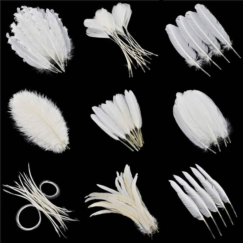 20Pcs White Pheasant Feathers for Crafts Natural Ostrich Feather Goose ...