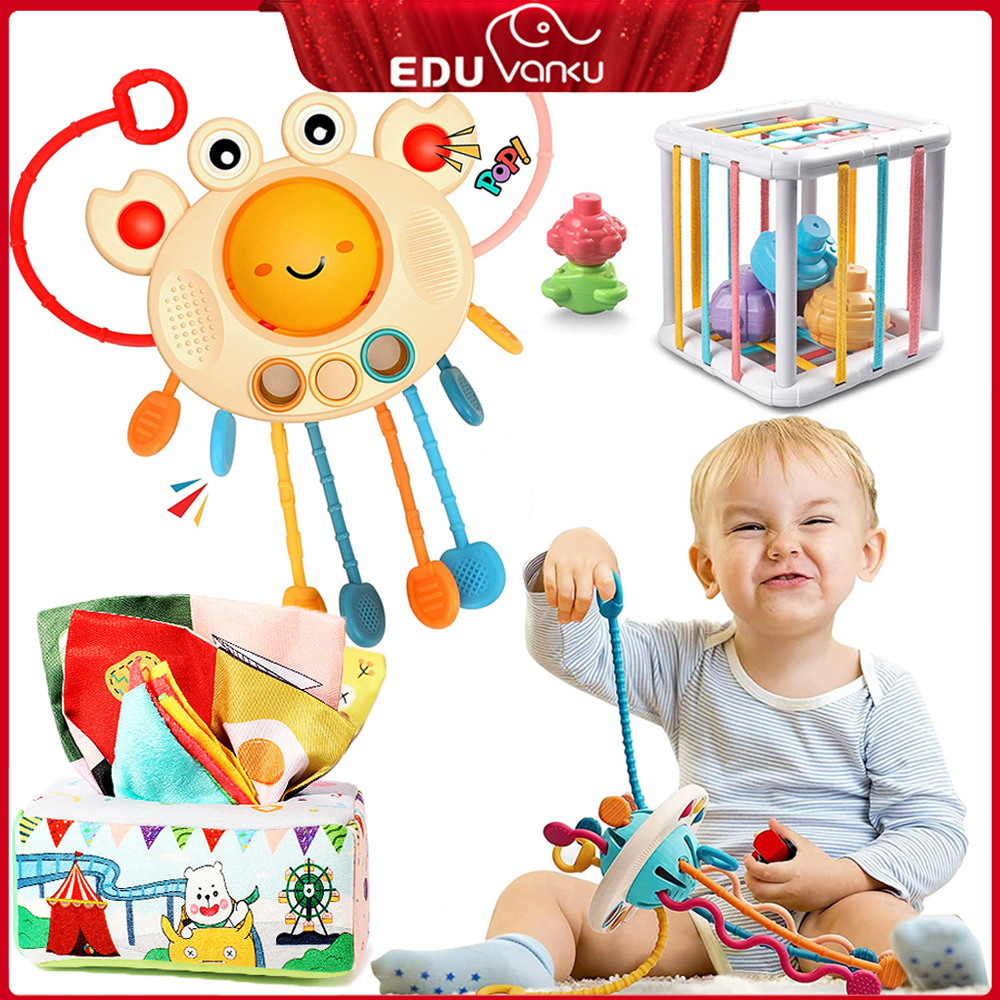 Baby Pull String Sensory Toys Toddler Montessori Educational Toys for 1 ...