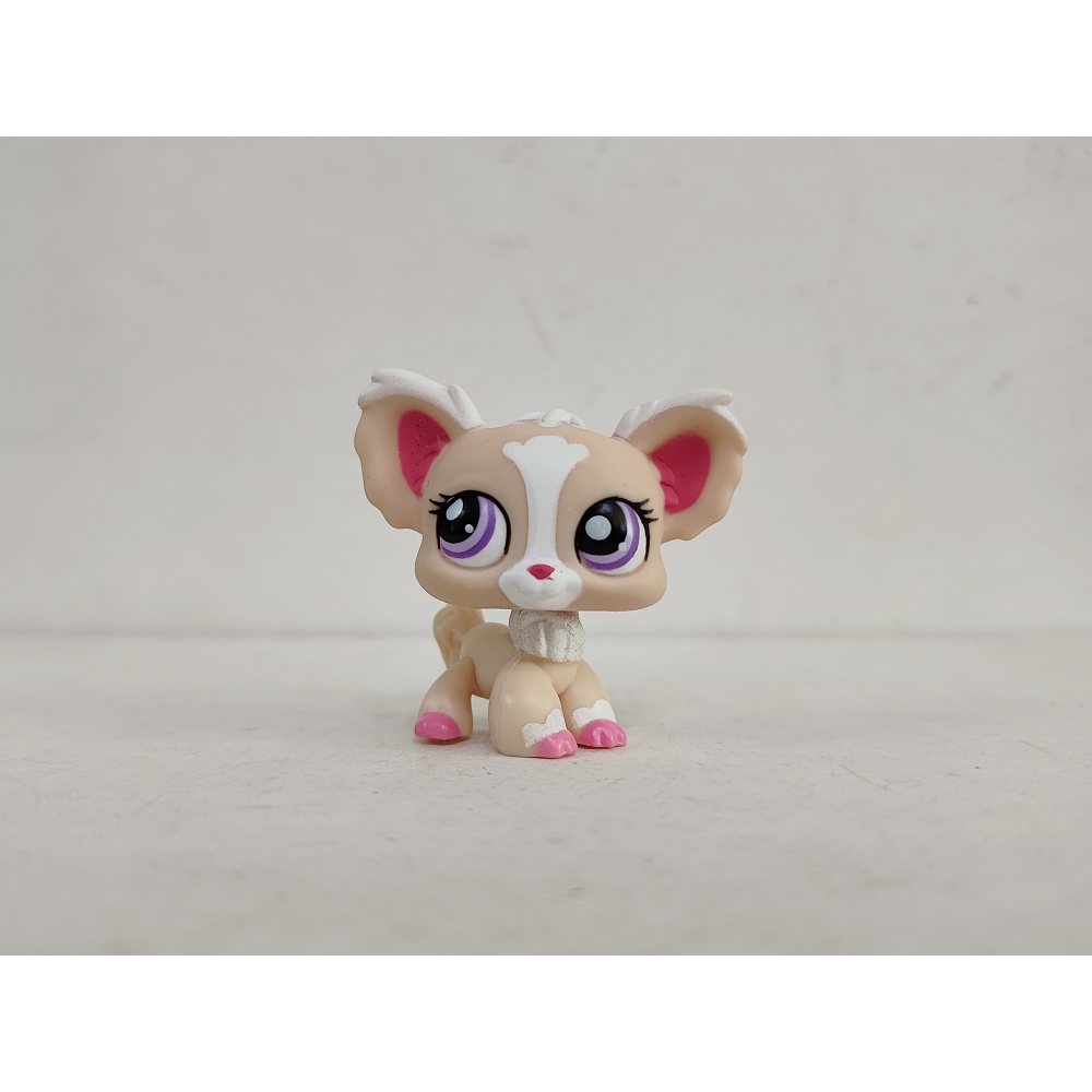 LPS Action Figure littlest pet shop Yellow Pink Chihuahua Dog #1892 kid ...