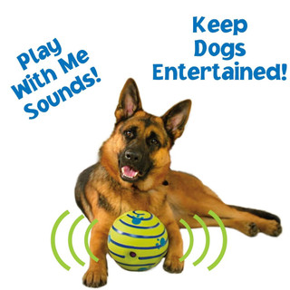 Interactive Pet Dog Toy Fun Giggle Sounds When Rolled or Shaken Chewing ...