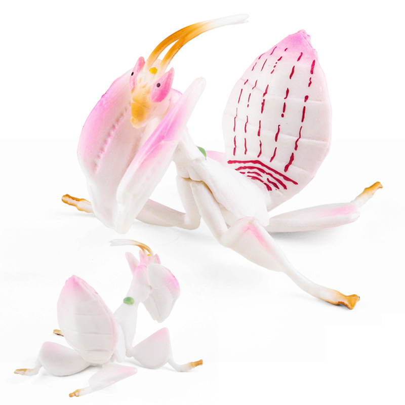 Insect Orchid Mantis Simulation Model Children Science Education Toys ...