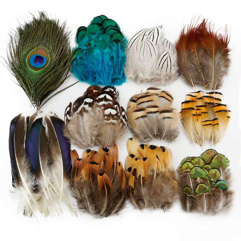 20Pcs Natural Peacock Pheasant Feather Ostrich Plumes for Needlework ...