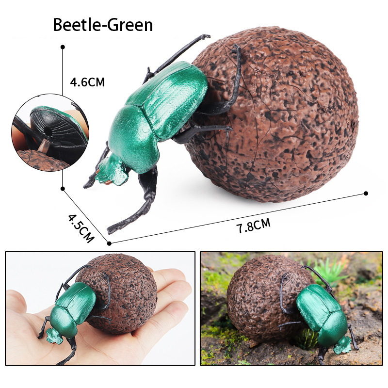 simulation push dung beetle rolling ball insect model children ...
