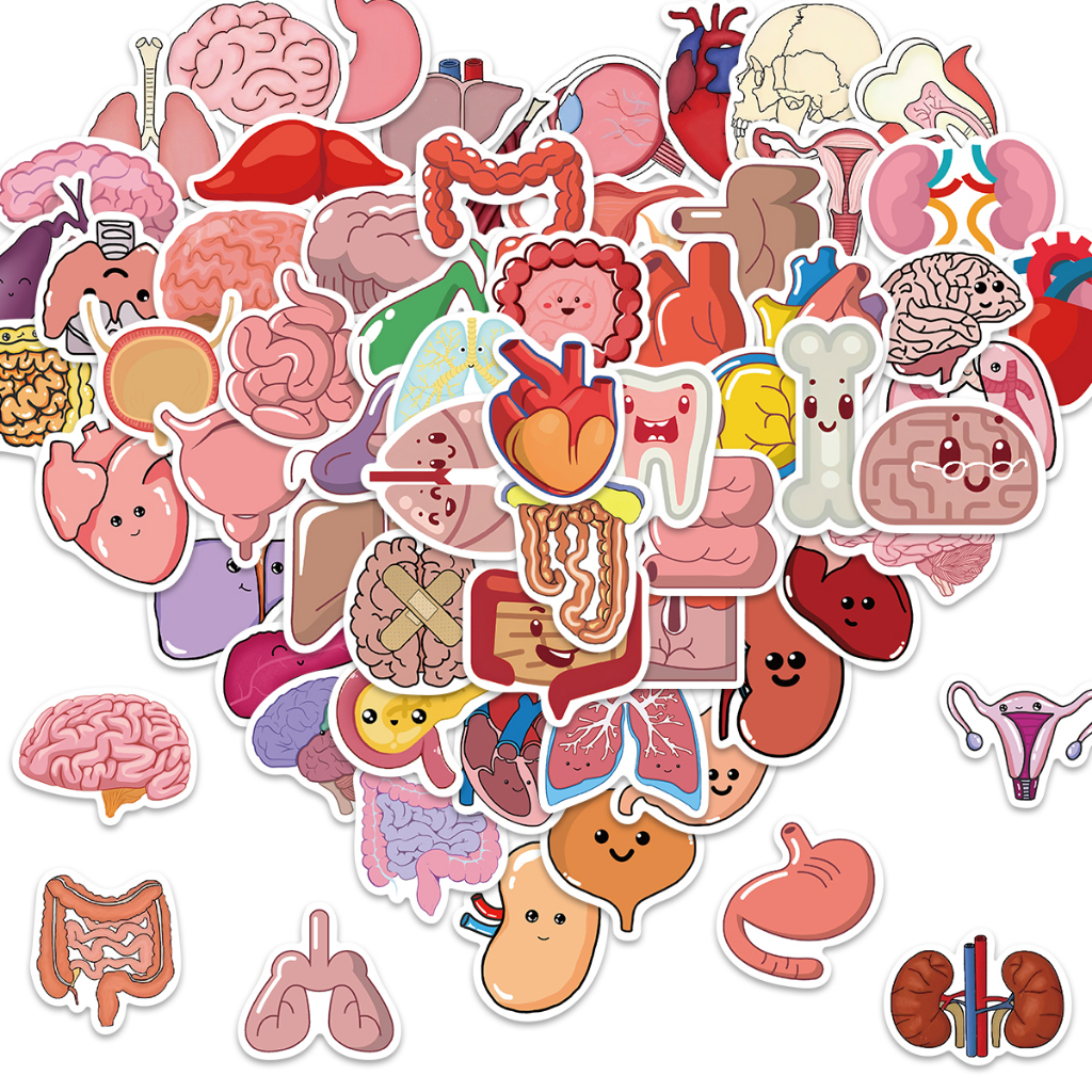 65pcs Stickers Human Organ Cartoon Cute Graffiti Photo Skateboard ...