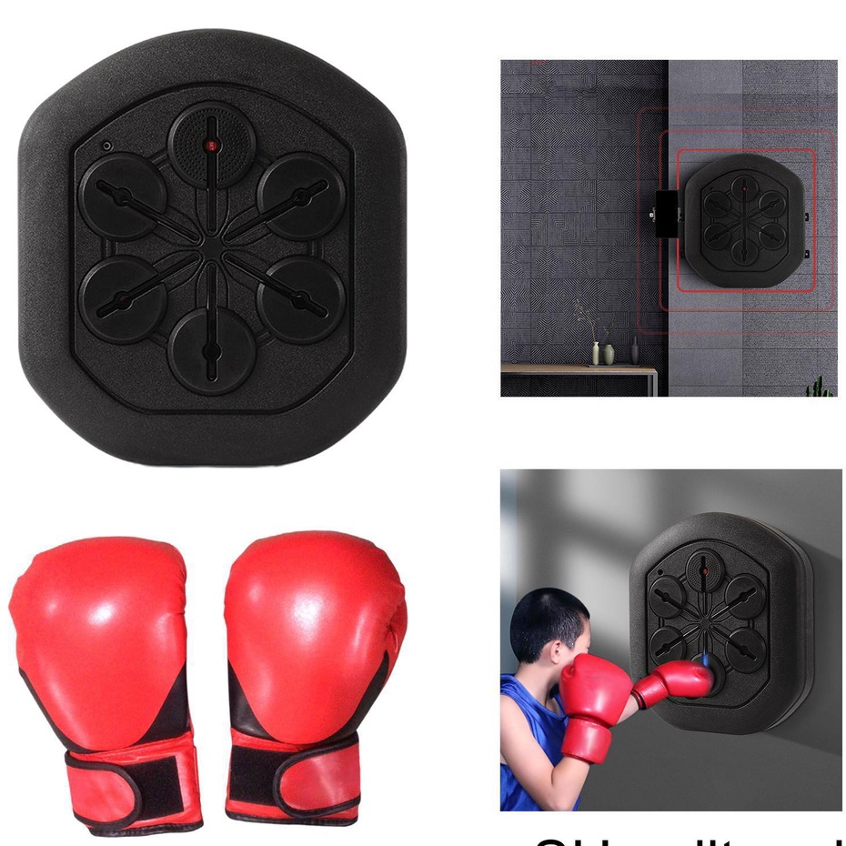 Training Target for Boxing Sports Agility Reaction Times Gyms Coaches ...