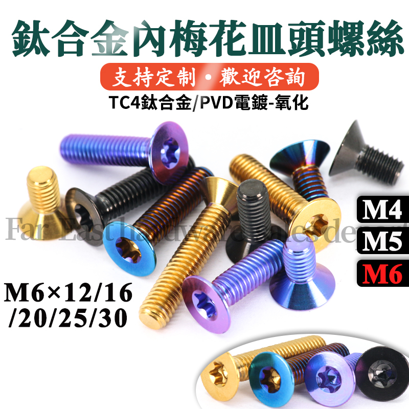 Tc4 Titanium Alloy Dish Head Internal Torx Screw Dish Head Screw ...