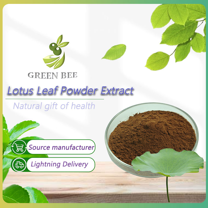 Lotus Leaf Powder Extract/100g/200g/500g/kosher & halal certified ...
