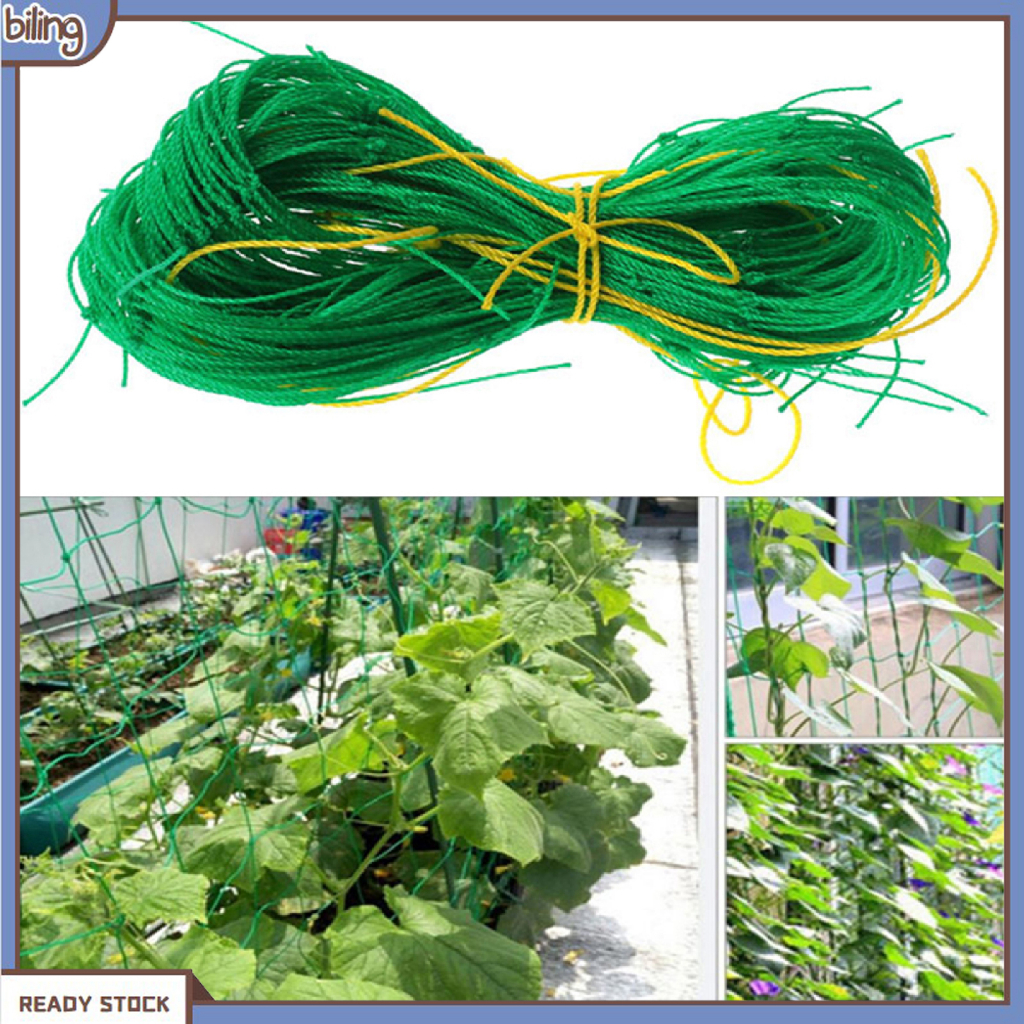 [biling] Fruit Vegetable Flower Vine Plants Climbing Net Garden ...