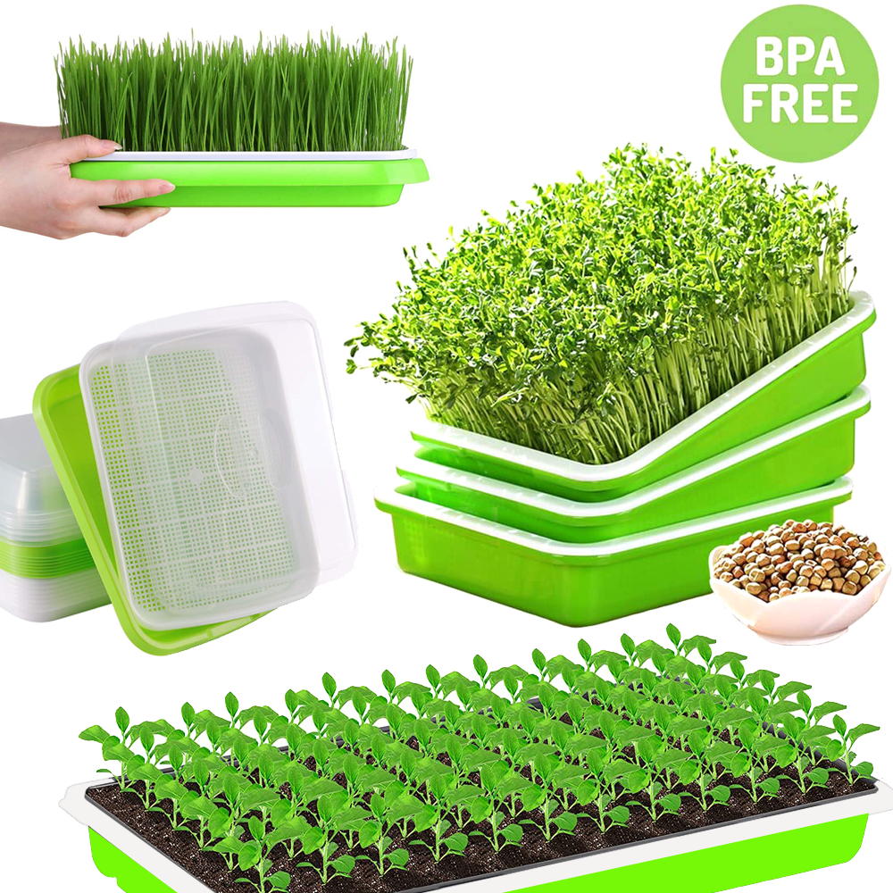 Sprout Dish Growing Pot Hydroponic Vegetable Beans Seeding Pot ...