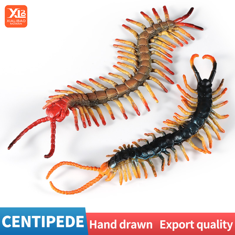 New Wild Insect Animals Model Large Centipede Action Figures Collection ...