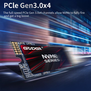 GUDGA M.2 NVMe PCIe 3.0 X4 2242mm SSD 256gb 1TB 128GB 512GB Hard Drive Disk Internal Solid State ...