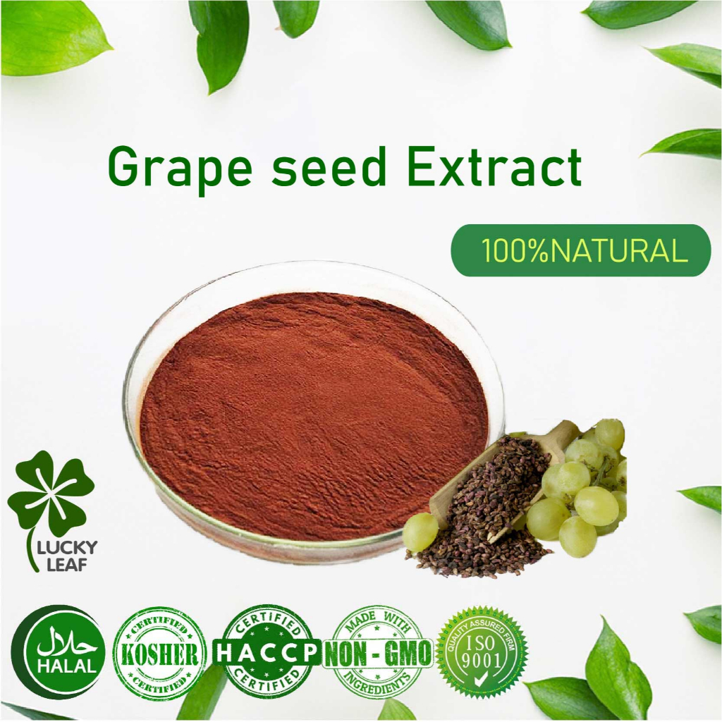 100g-200g Grape seed Extract / Anthocyanin/Oligomeric Proanthocyanidin ...