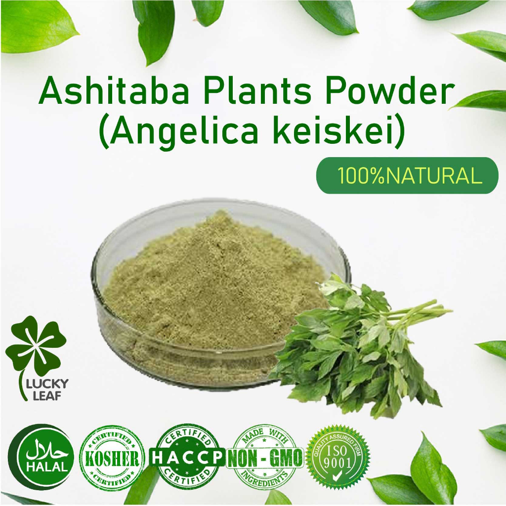 100g-200g Ashitaba Plants Powder/明日叶/Angelica keiske/Longevity Leaf ...