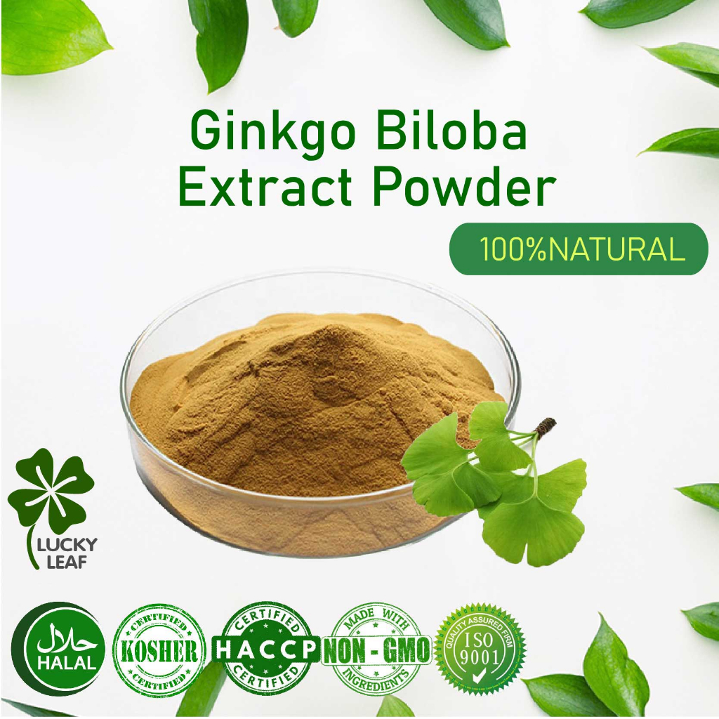 Pure Natural Ginkgo Biloba Powder Extract/Vascular Protection-HALAL ...