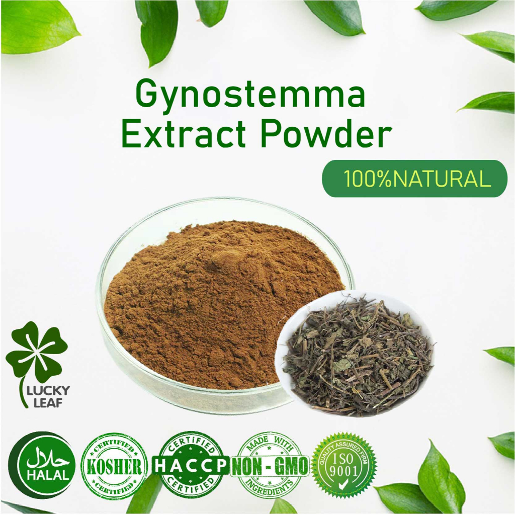 【100g-200g】Gynostemma Extract Powder/绞股蓝/Weight Loss&Nourish the brain ...