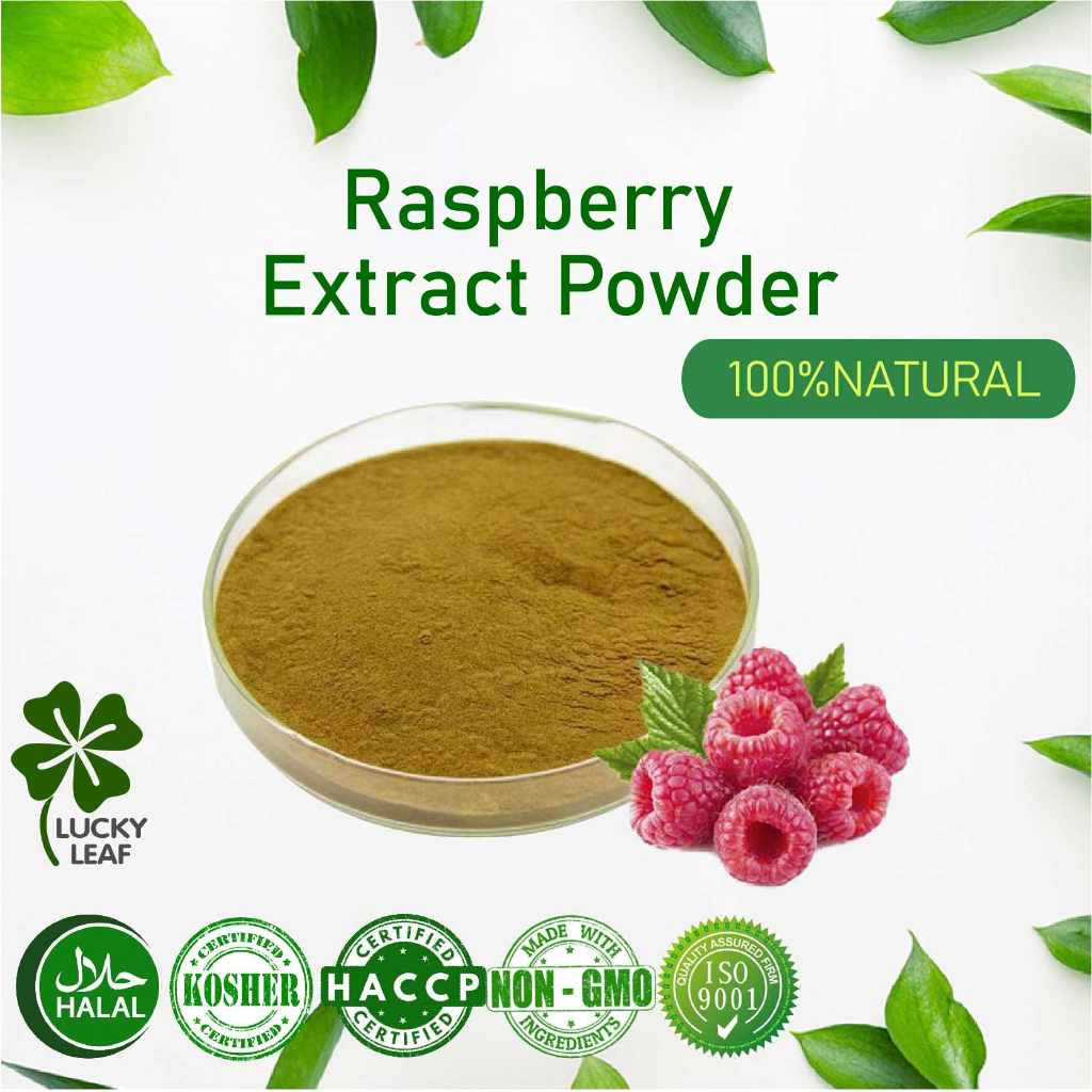100g-200g Raspberry Extract Powder/Antioxidant/Vitamin-HALAL & KOSHER ...
