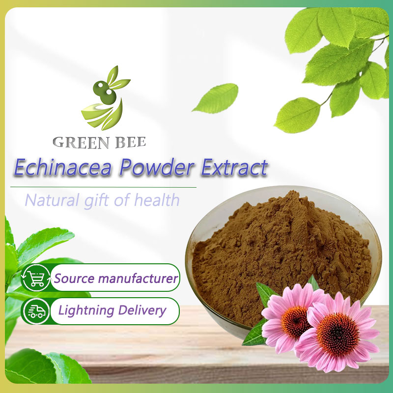 Echinacea Powder Extract/100g/200g/500g/- Kosher- HALAL Certified ...