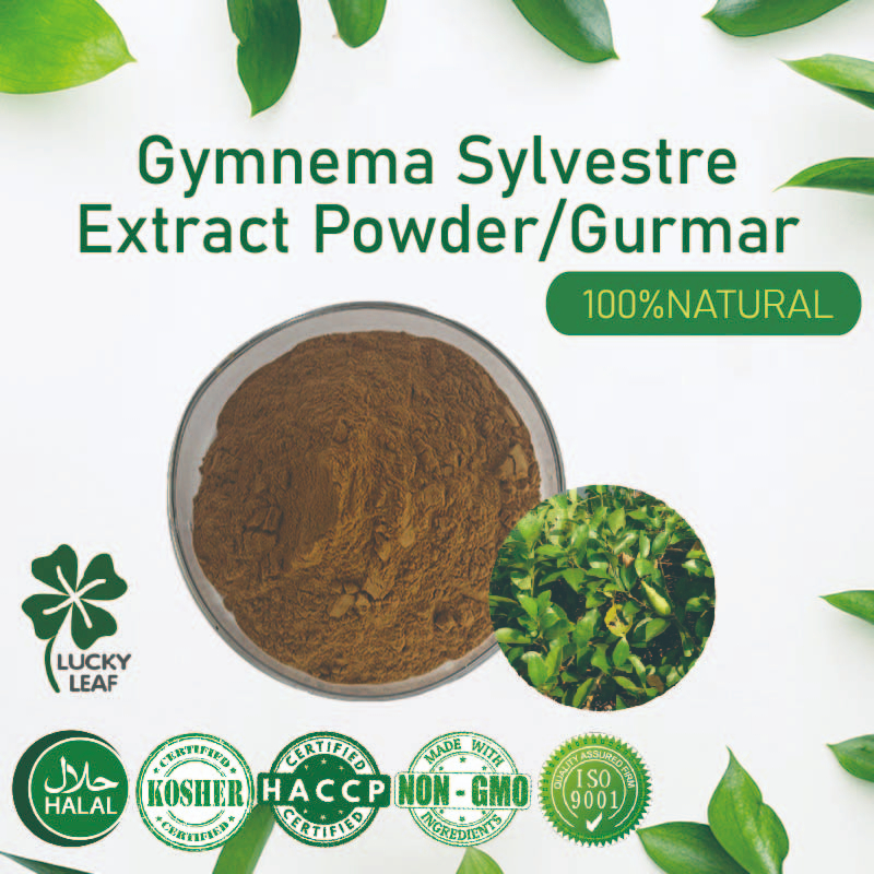 100g-200g Gymnema Sylvestre Extract Powder/Gurmar/Blood Glucose Control ...