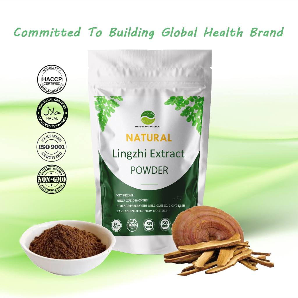【Natural】Lingzhi Extract Powder （Reishi mushroom）/Ganoderma Lucidum ...