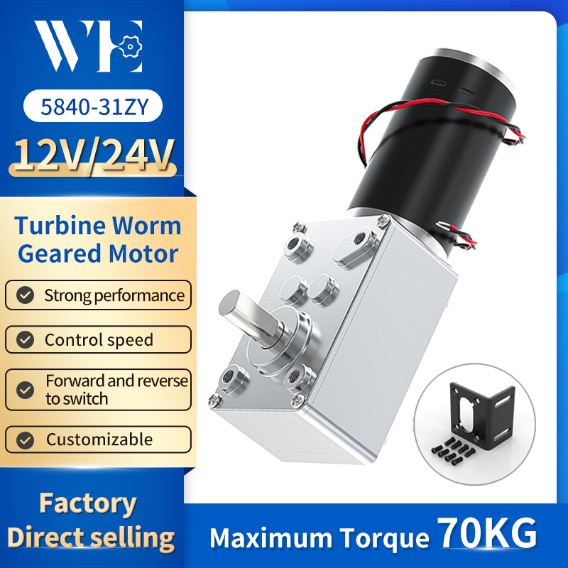 Dual Shaft Dc Motor 5840-31zy Worm Dc 12V 24V Powerful Torque Turbo Worm Geared Gear Motor