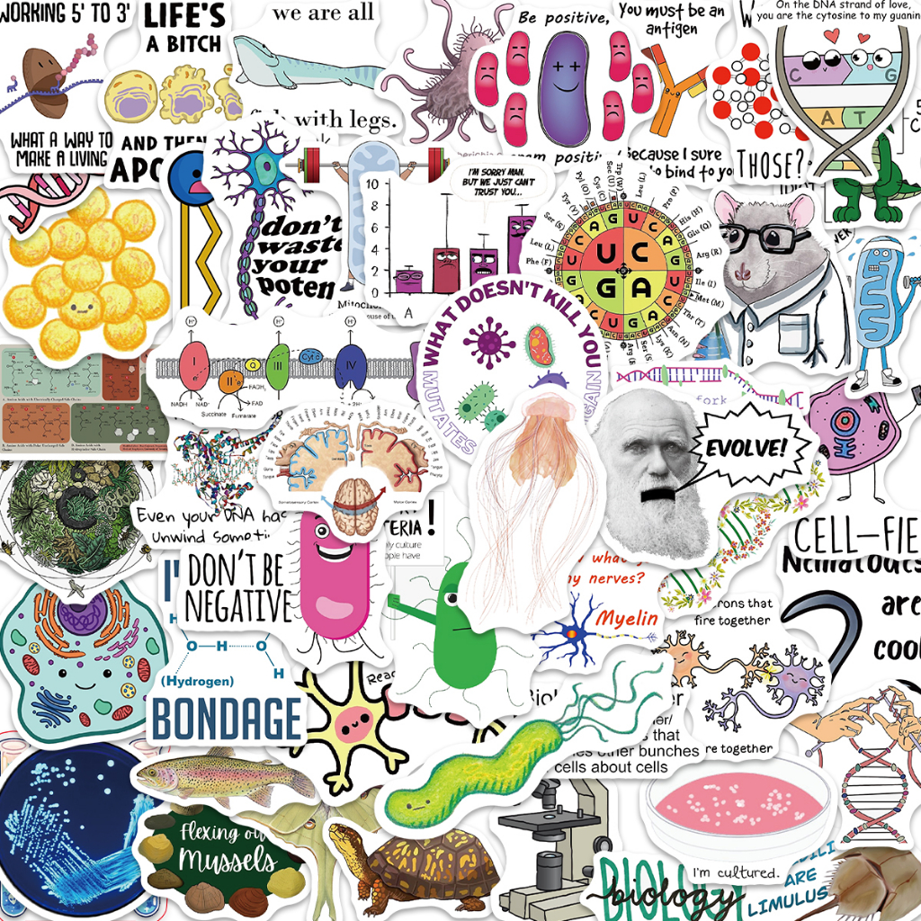 50pcs Stickers Biology Cartoon Learning Funny Graffiti Photo Skateboard ...