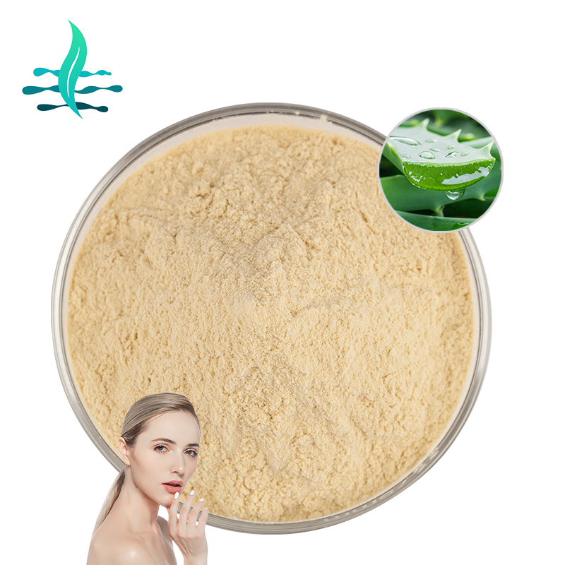 500g/1000g Manufacturers spot wholesale aloe vera powder | Shopee ...