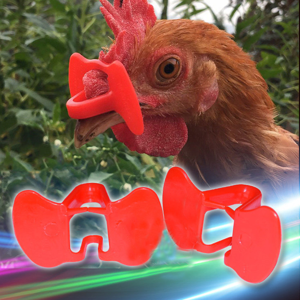 20 Pcs Red Chicken Glasses Without/With Bolt Anti-Pecking Poultry ...