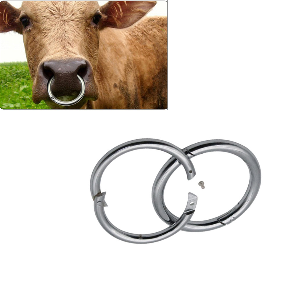 Big Cattle Nose Ring Cattle Traction Ring Large Circle Stainless Steel ...