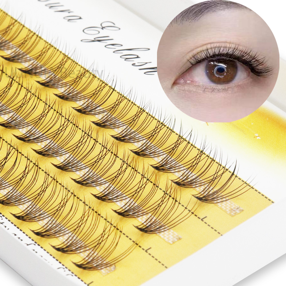10D 60 Bunches/Box Individual Scarecrow Eyelashes 0.07mm Cluster ...