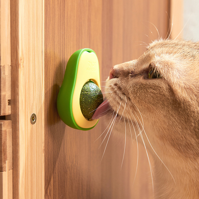 PFP Cat Mint Toy Avocado Mint Coccidium Gall Fruit Little Cat Toy Cat ...