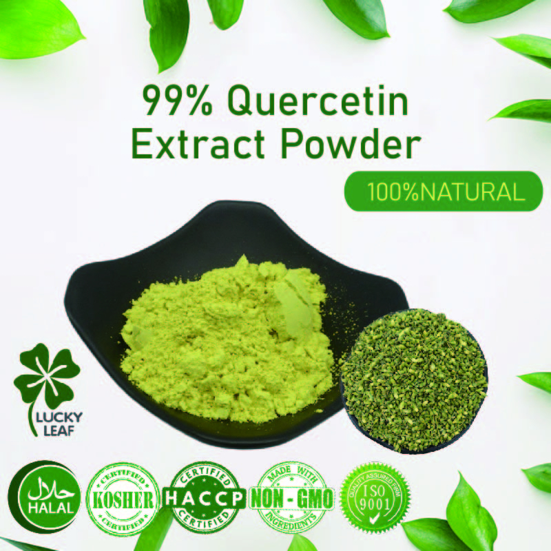 【20g-50g】99% Quercetin Powder/Excellent Antibiosis&Antioxidant/Prevent ...