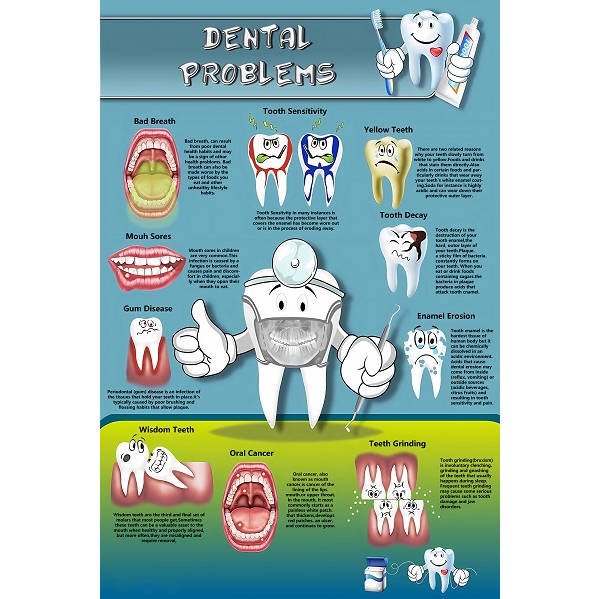 Dental Problems Poster Dental Clinic Dentist Anatomy of the Teeth Mural ...