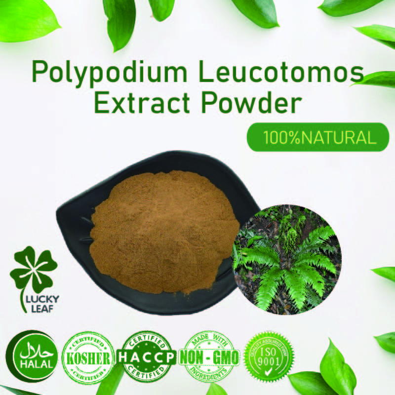 【100g-200g】Polypodium Leucotomos Extract Powder/Sun Block&Skin Damage ...