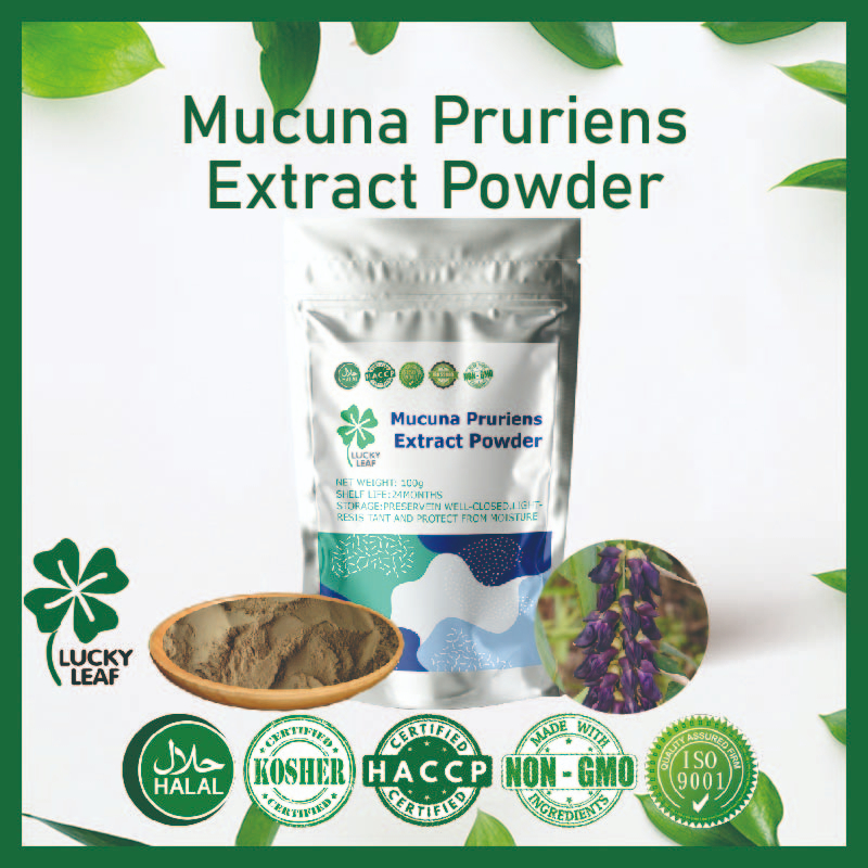 【100g-200】Mucuna Pruriens Extract Powder/Blood sugar Control & Male ...