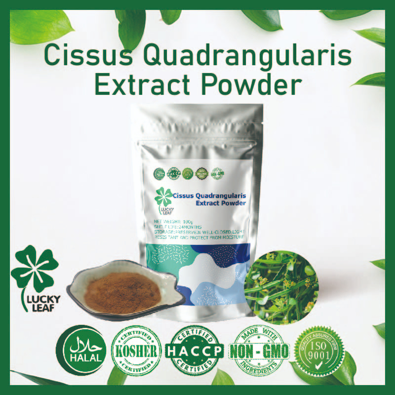 【100g-200g】Cissus Quadrangularis Extract/Pirandai/Fracture Repair ...