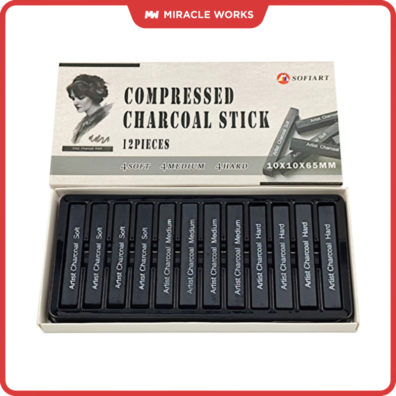 12 pcs Compressed Charcoal Sticks Set for Sketch Drawing Carbon ...
