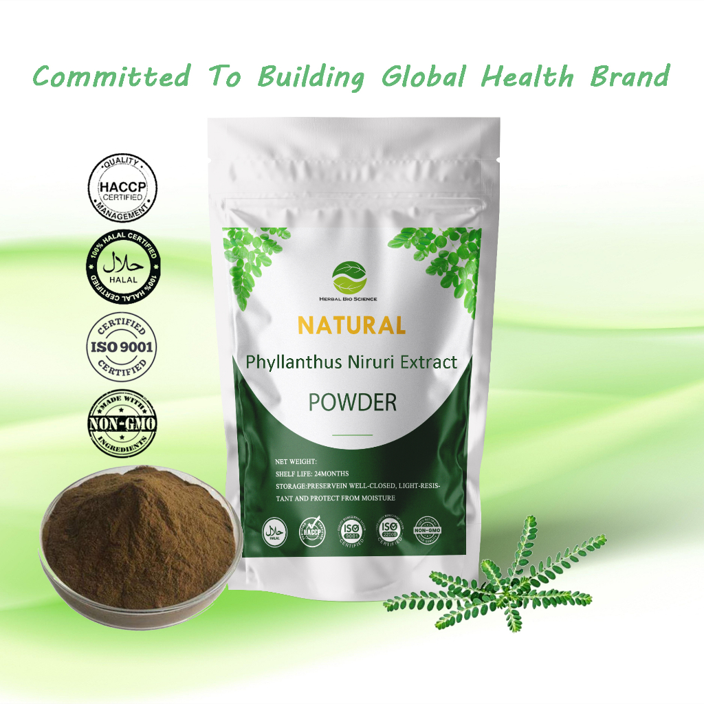 【Natural】Phyllanthus Niruri Extract Powder/Bhumi Amla/ Chanca Piedra ...