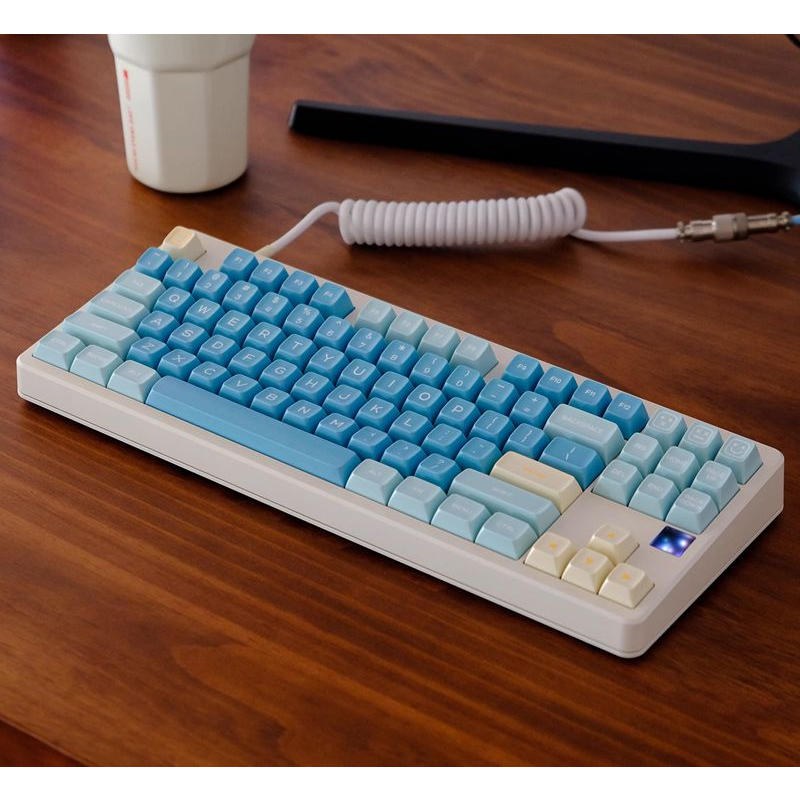 【Keycap Only】Sea salt lemon Keycaps 160+ keys QXA Profile PBT Double ...