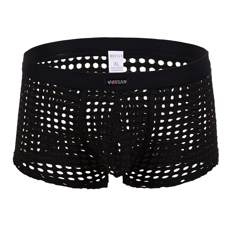 Men Nylon Mesh Boxers Man Panties Male Underwear | Shopee Philippines